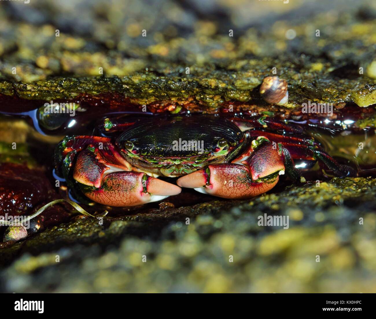 Cityscapes LA San Francisco Monterey and nature Stock Photo - Alamy