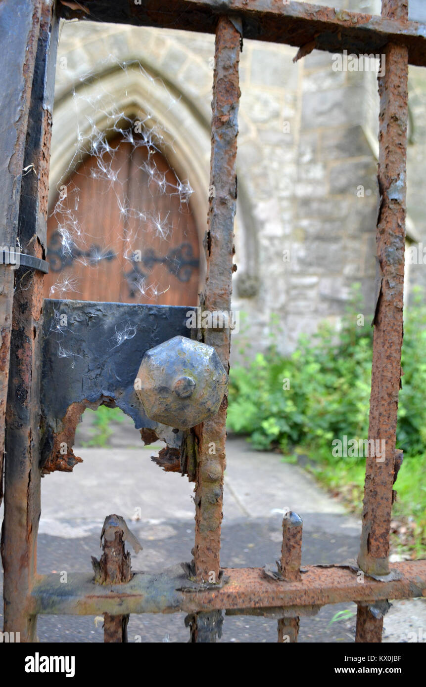 Rusty church gate with cobwebs and dandelion seeds Stock Photo - Alamy