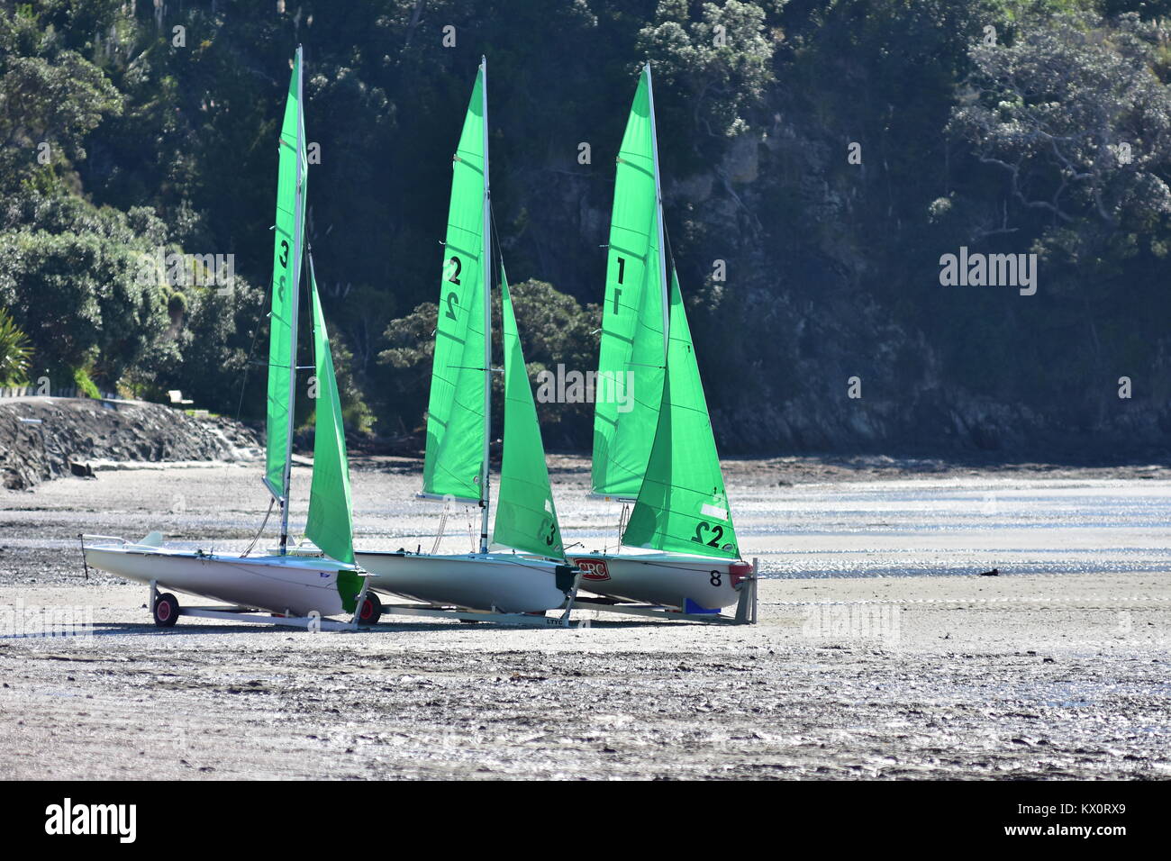 Three Laser class sailing dinghies with green sails on shore ready for race Stock Photo - Alamy