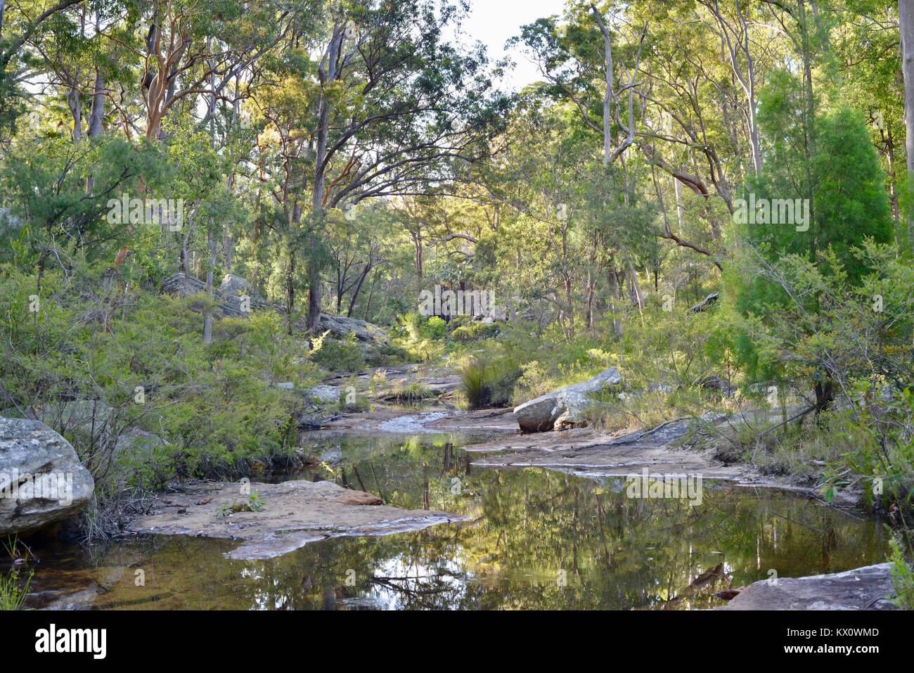 Blackdown Tableland National Park, Queensland, Australia Stock Photo ...