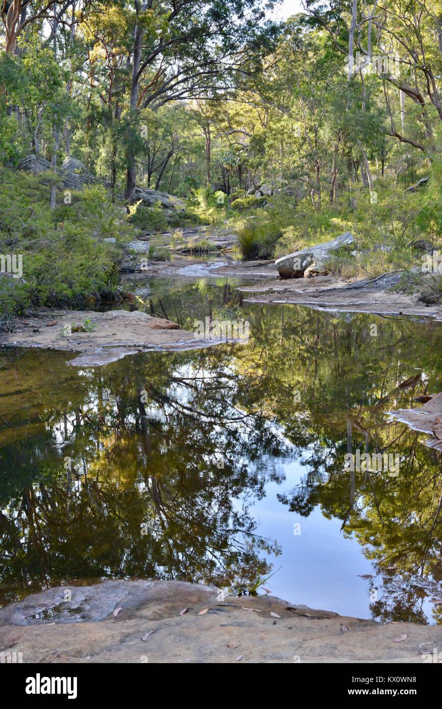 Blackdown Tableland National Park, Queensland, Australia Stock Photo ...