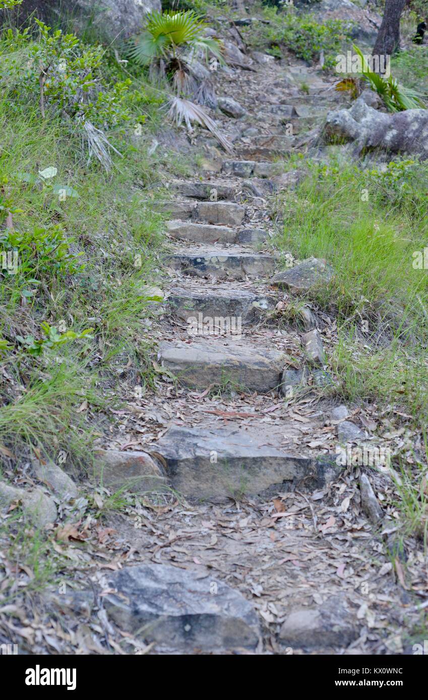 Walking tracks near Munall camping area, Blackdown Tableland National ...