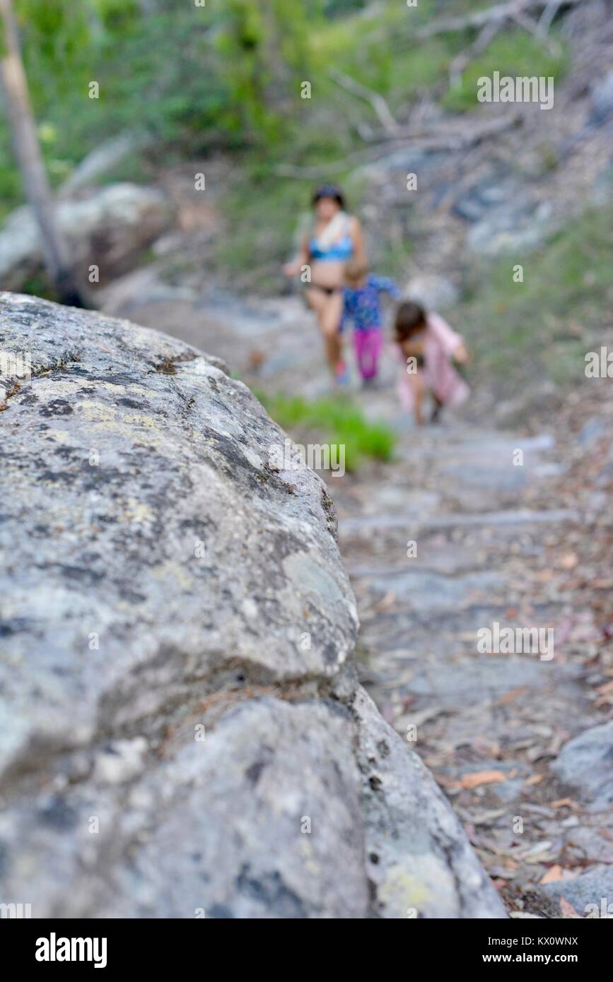 Walking tracks near Munall camping area, Blackdown Tableland National ...