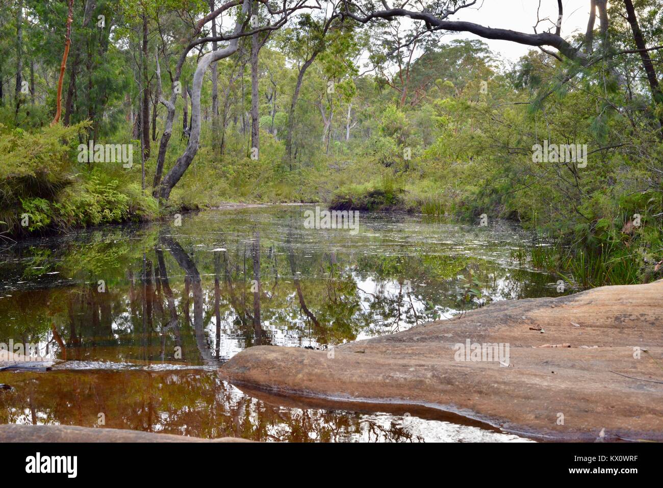 Blackdown tableland national park hi-res stock photography and images ...