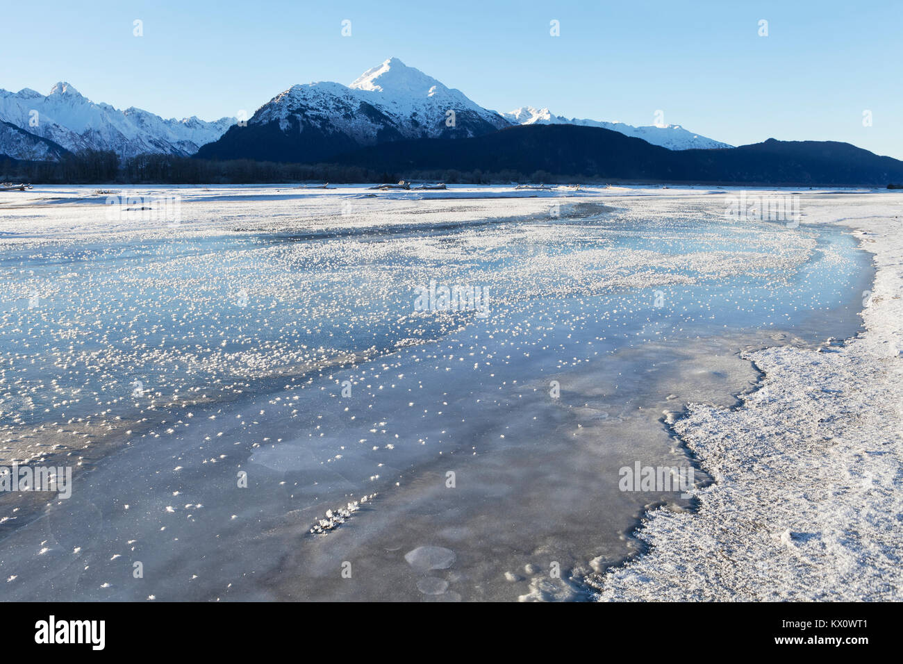 Chilkat river near Haines in Southeast Alaska overflowing ice with ...