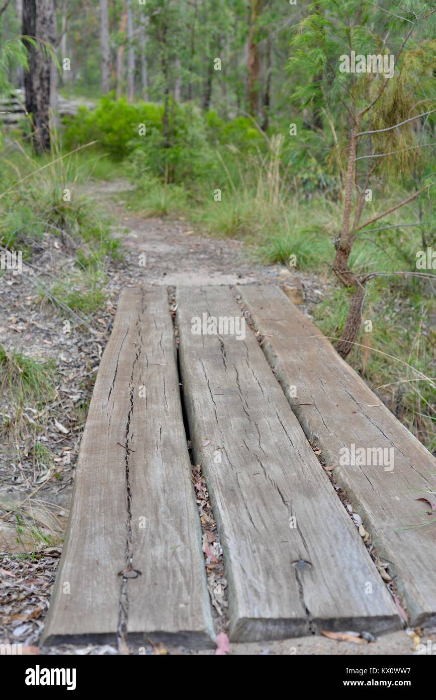 Walking tracks near Munall camping area, Blackdown Tableland National ...