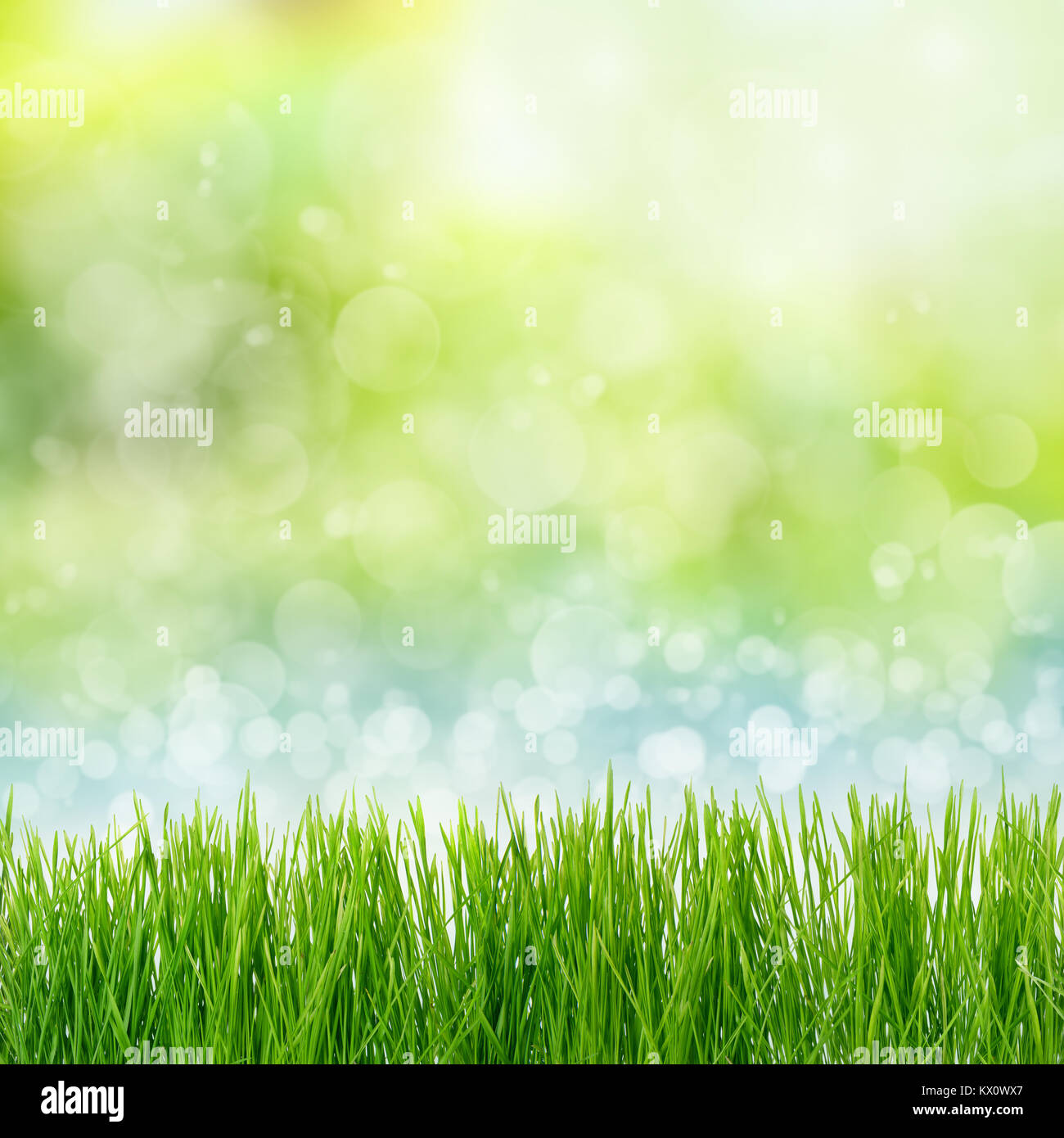 Green grass on abstract background, space Stock Photo - Alamy
