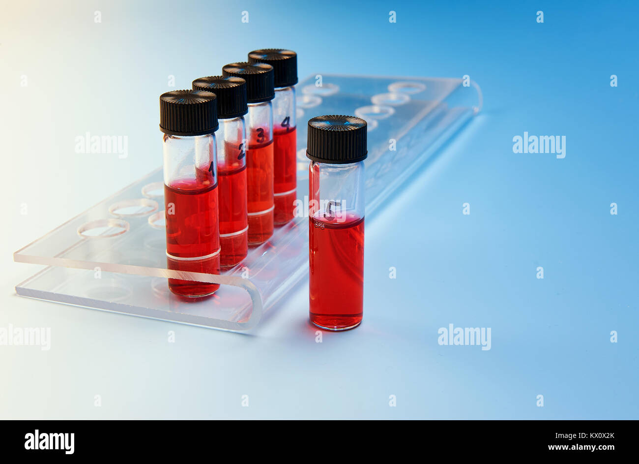 Three liquid samples in plastic vials in a tube stand on blue ...