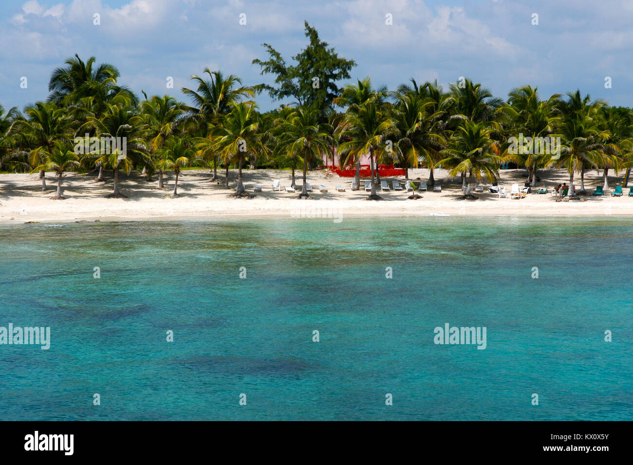 Beautiful summer scene Stock Photo - Alamy