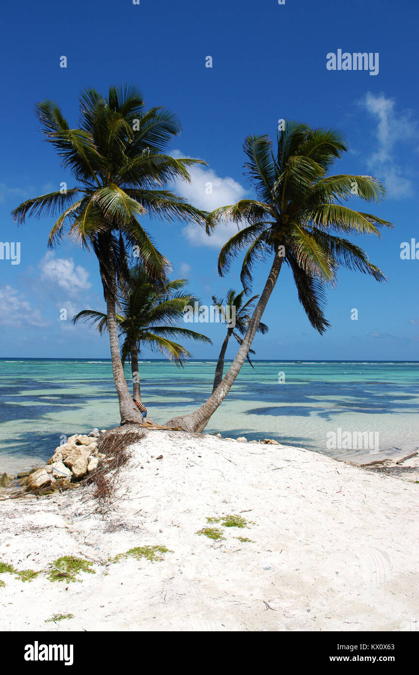 Beautiful summer scene Stock Photo - Alamy