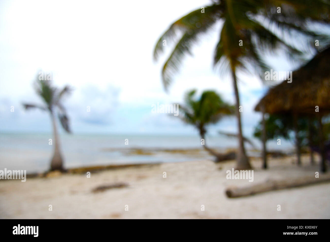 Beautiful summer scene Stock Photo - Alamy