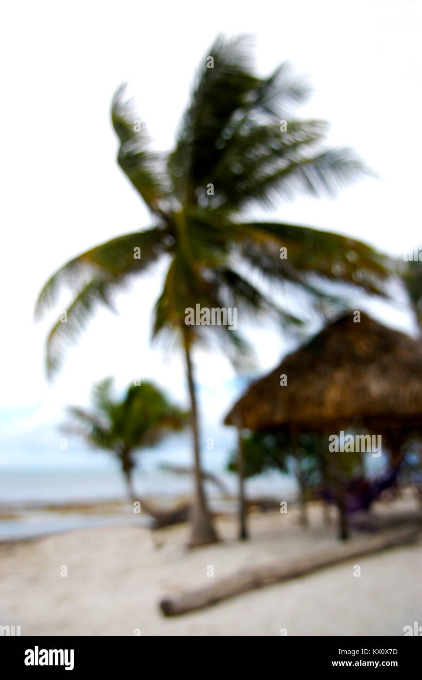 Beautiful summer scene Stock Photo - Alamy