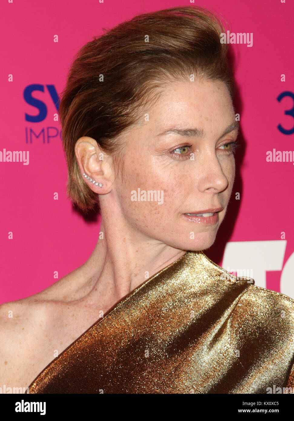 Celebrities attend Los Angeles premiere of I, TONYA at The Egyptian ...