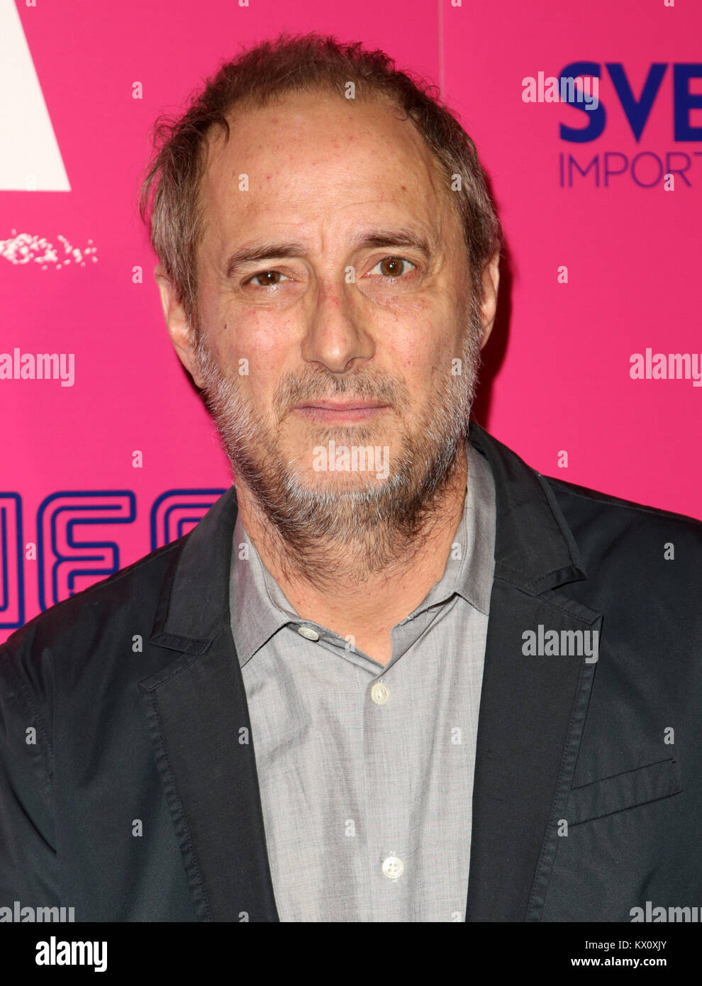 Celebrities attend Los Angeles premiere of I, TONYA at The Egyptian ...