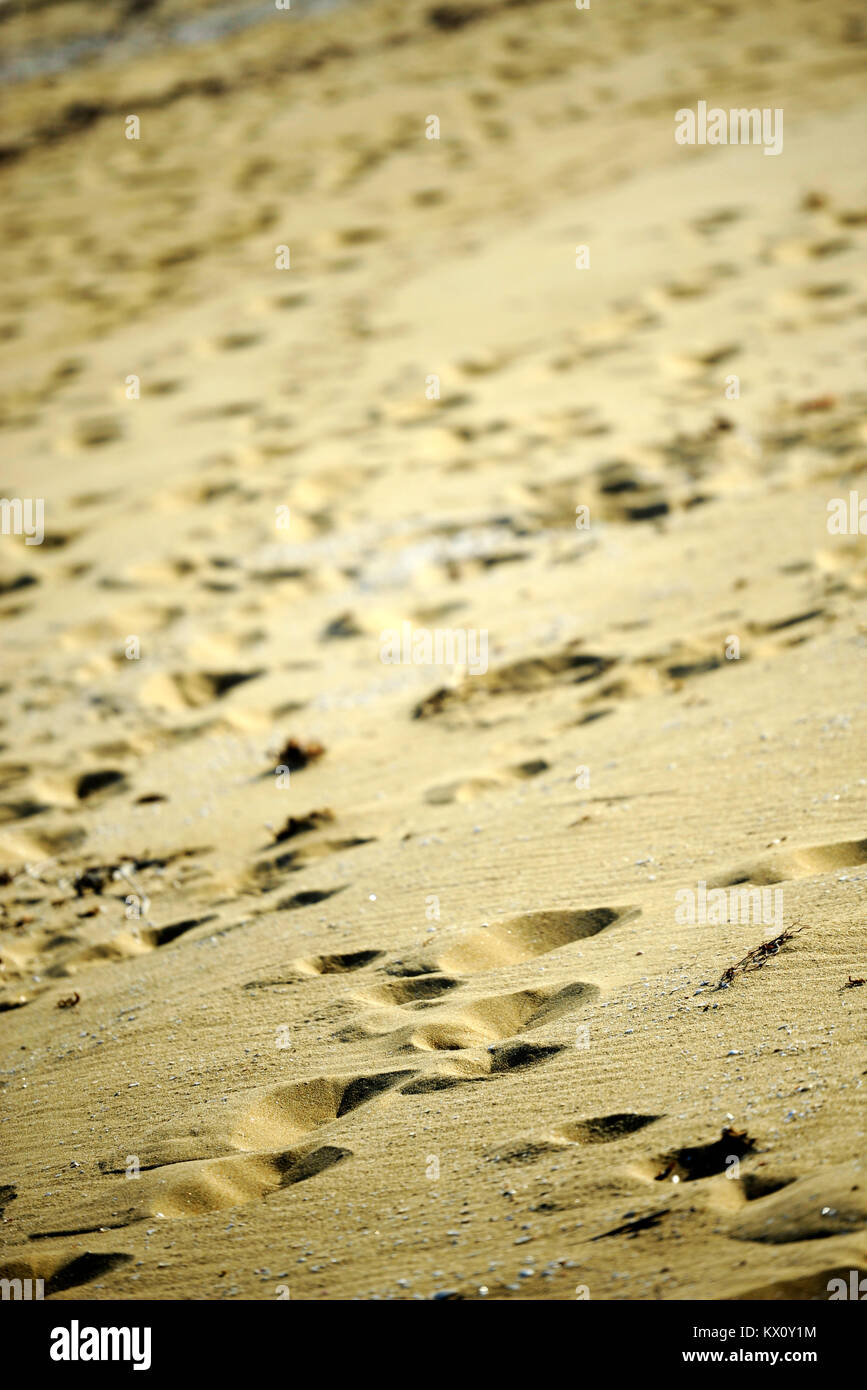 Beautiful summer scene Stock Photo - Alamy