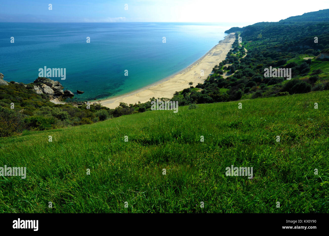 Beautiful summer scene Stock Photo - Alamy