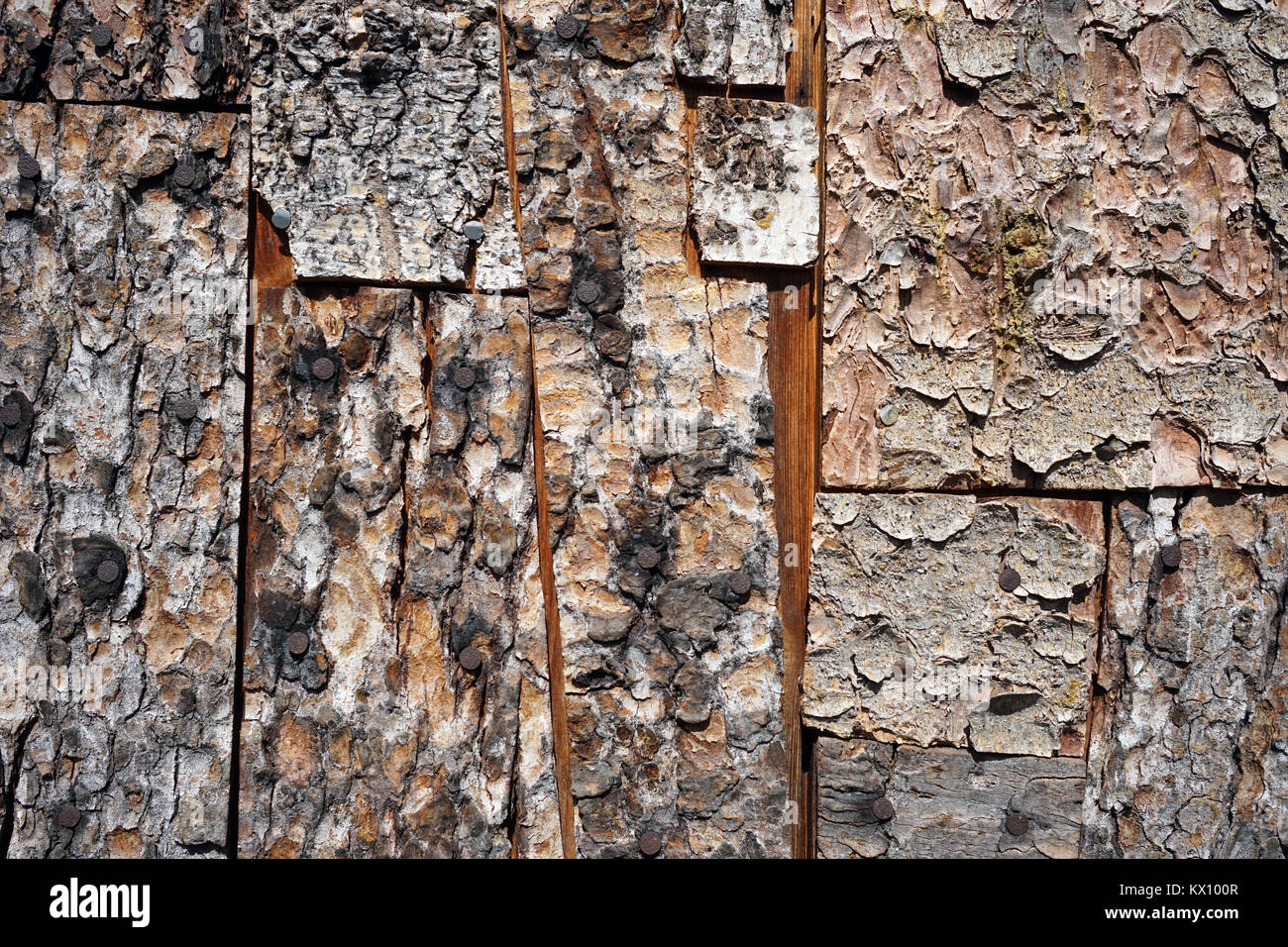 Wooden wall with pine tree bark Stock Photo - Alamy