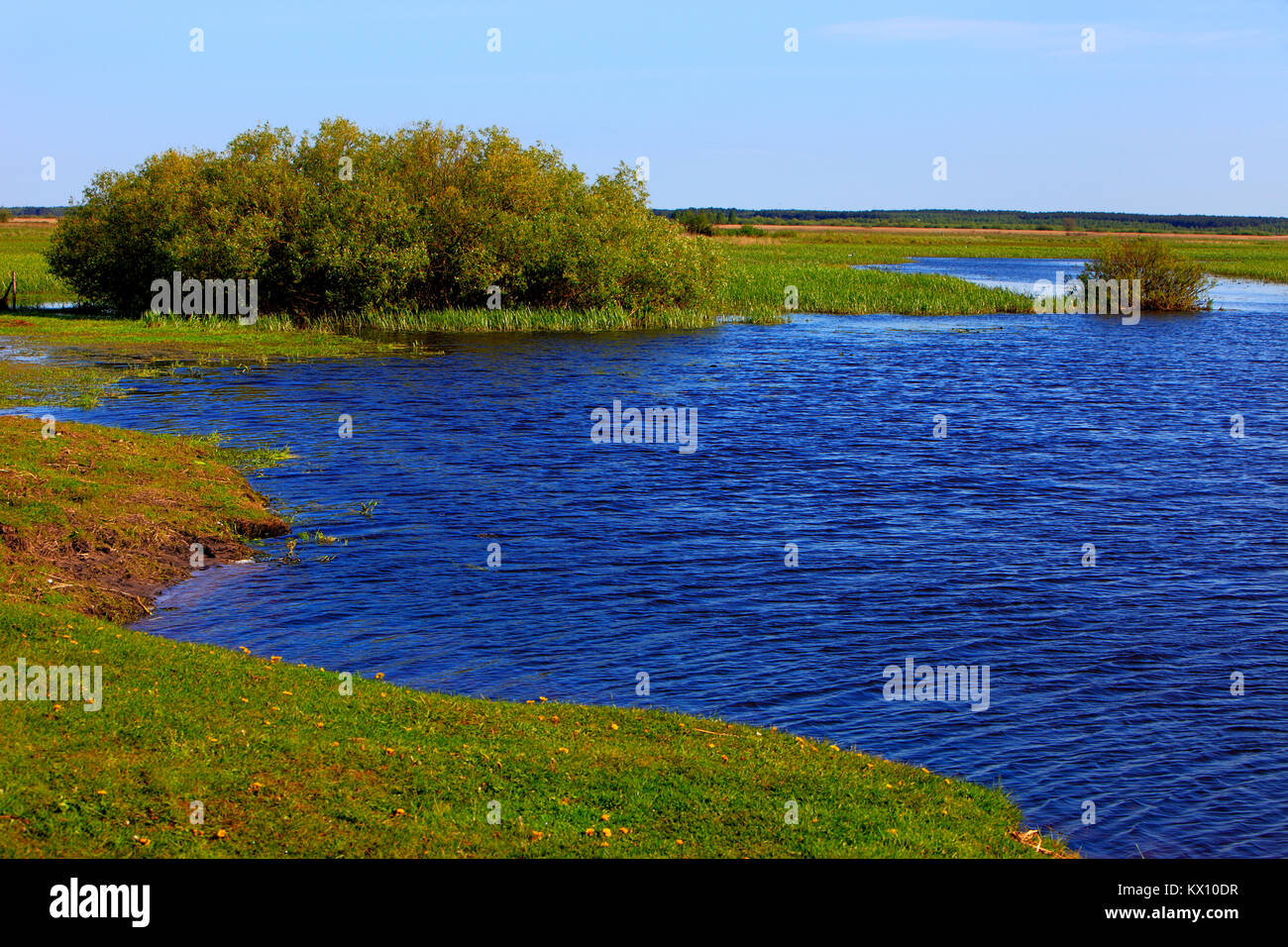 Panoramic view of the grassy meadows and wetlands - wildlife and birds ...