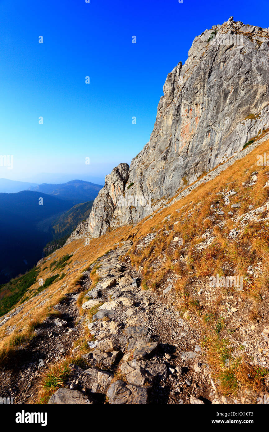 Bacuch hi-res stock photography and images - Alamy