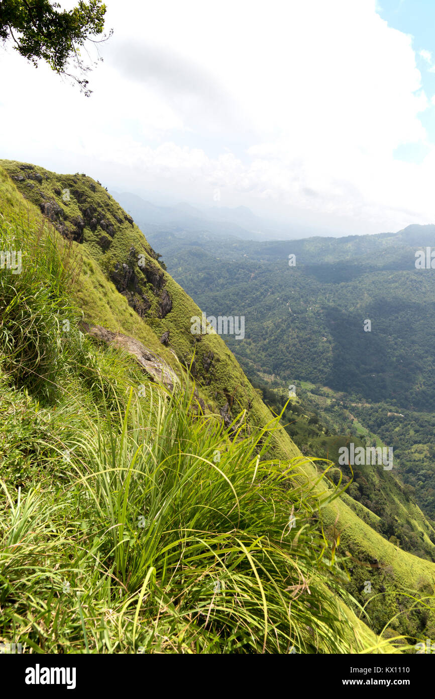 Steep Hill Side View