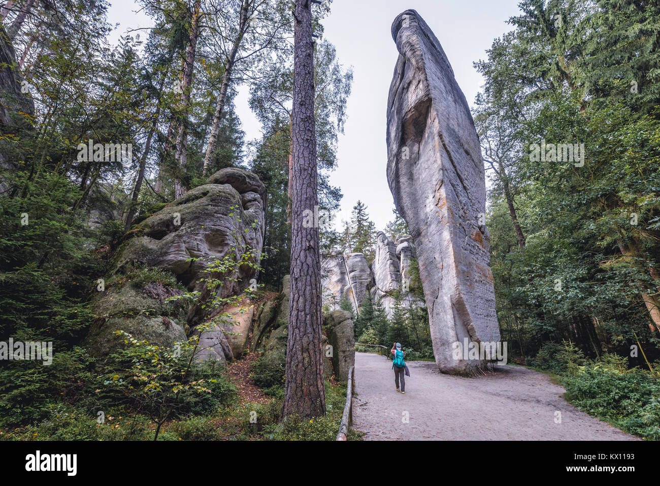 Rock formation called Sugar Loaf in Nature Reserve Adrspach-Teplice ...