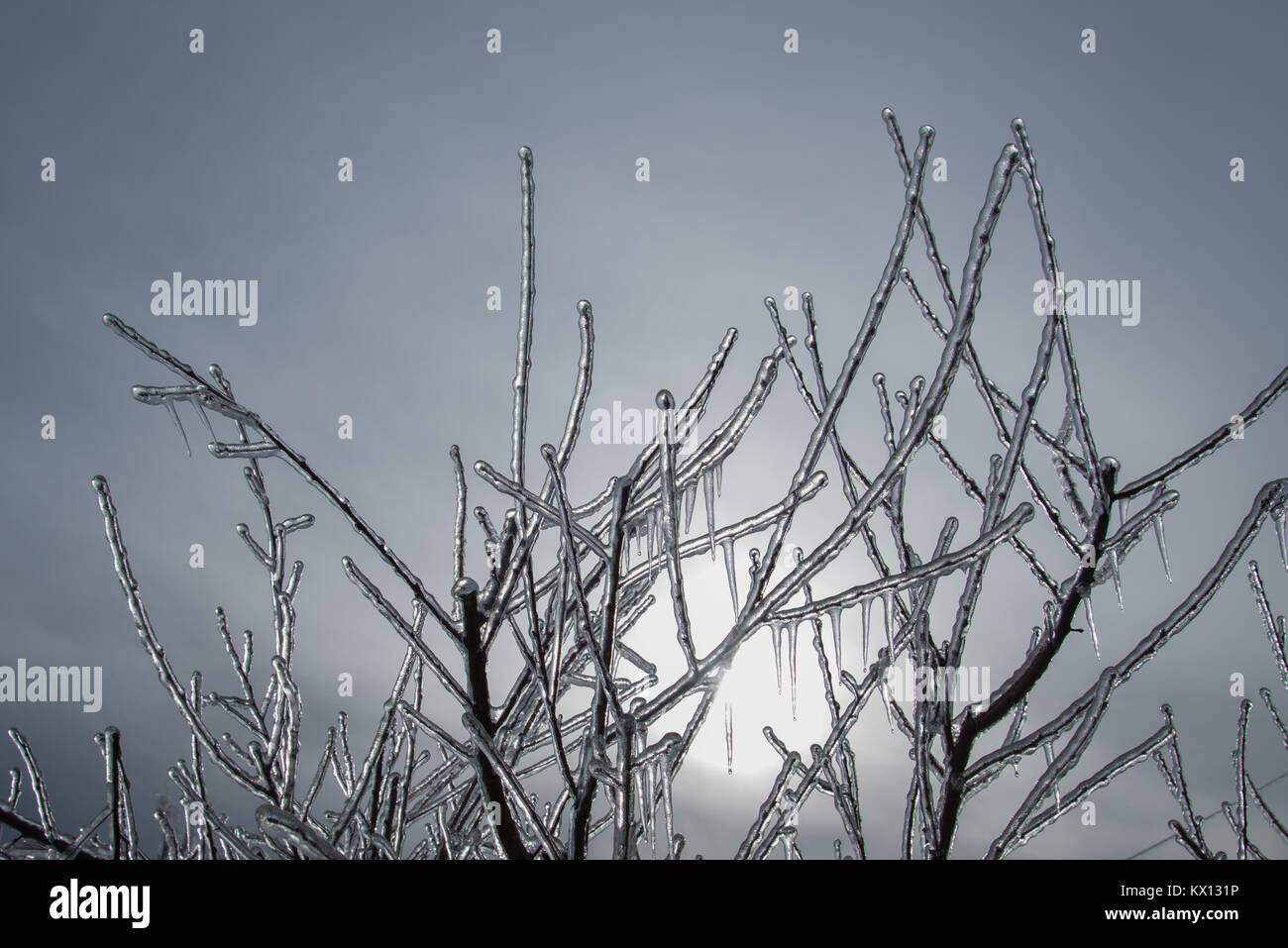 Beautiful crystal ice trees hi-res stock photography and images - Alamy