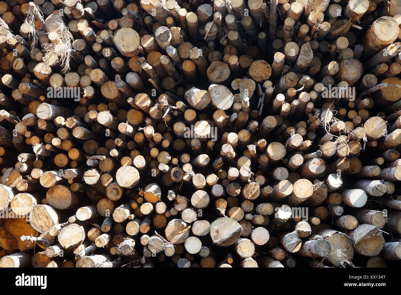 Heap of dry logs on the ground in timber yard Stock Photo - Alamy