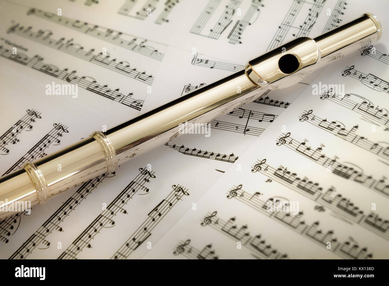 Professional French model Open Holes with Pointed Arm Concert Flute ...