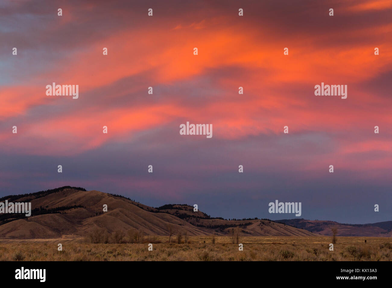 Blacktail butte hi-res stock photography and images - Alamy