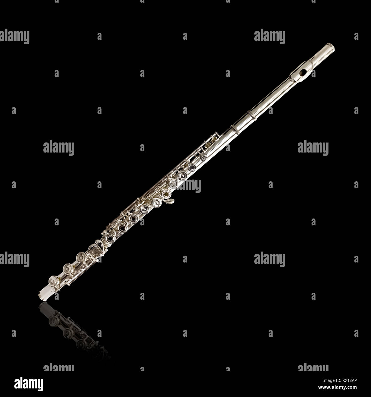 Professional French model Open Holes with Pointed Arm Concert Flute ...
