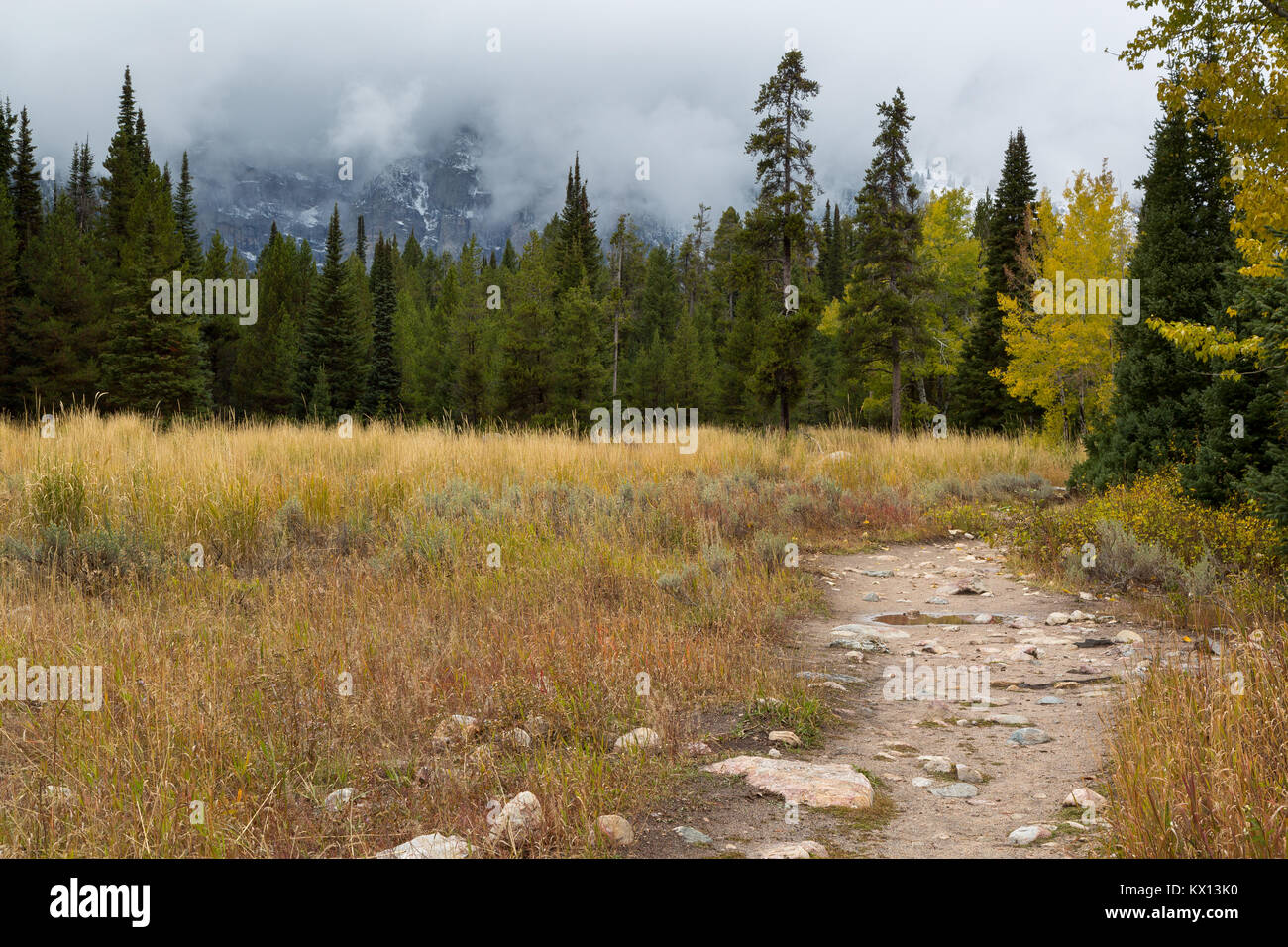 The Lake Creek Trail in the Laurance S. Rockefeller Preserve winding ...