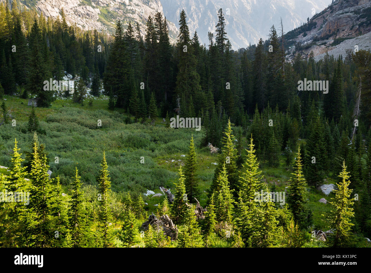 Cascade and spruce hi-res stock photography and images - Alamy