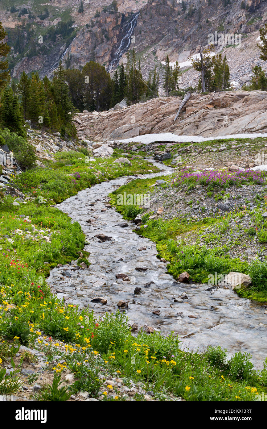 An alpine creek high in the South Fork of Cascade Canyon flowing toward ...