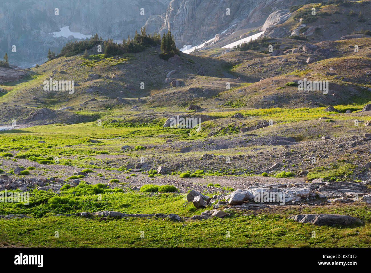 Alpine tundra hi-res stock photography and images - Alamy