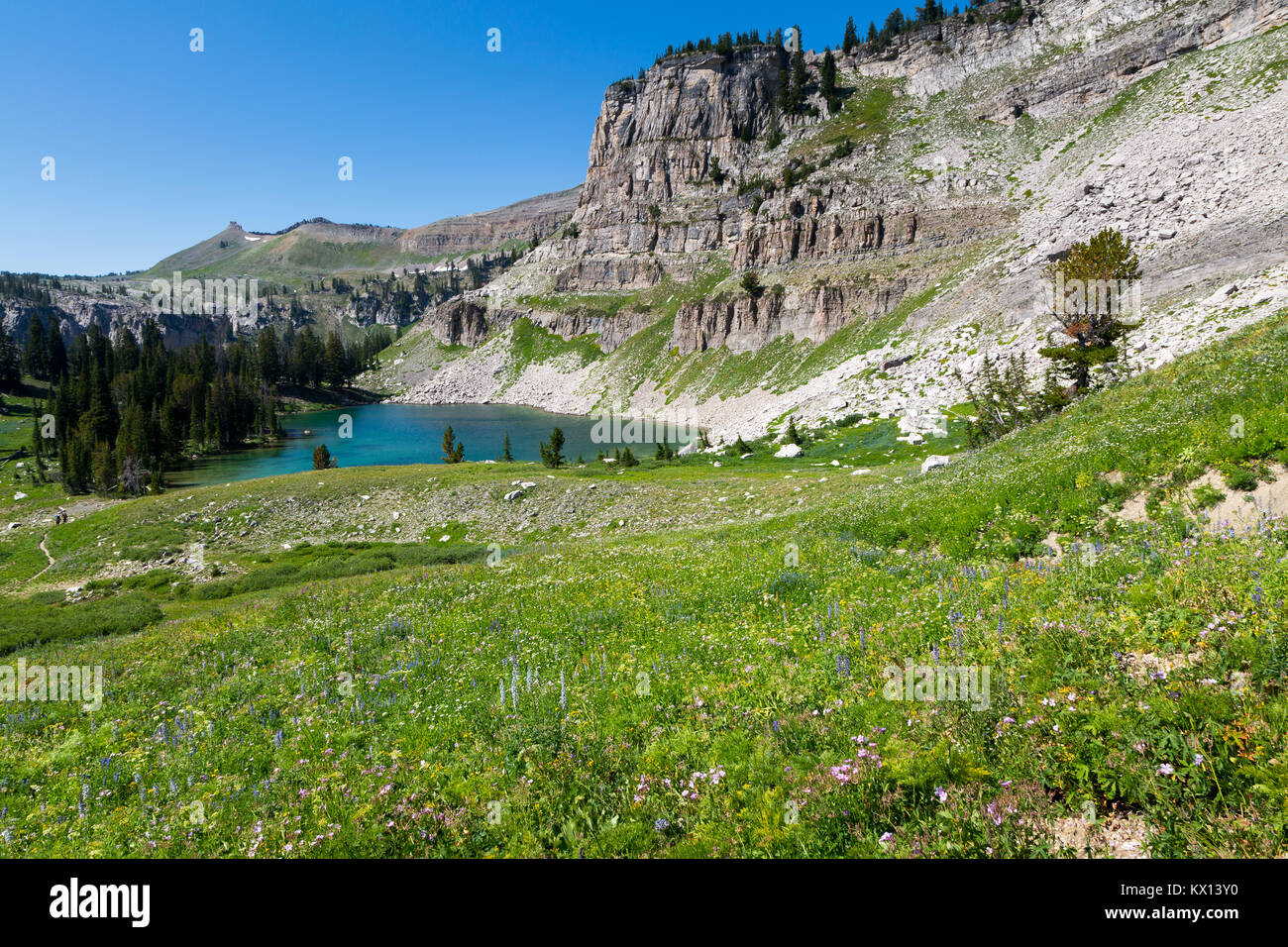 Marion lake grand teton national park hi-res stock photography and ...