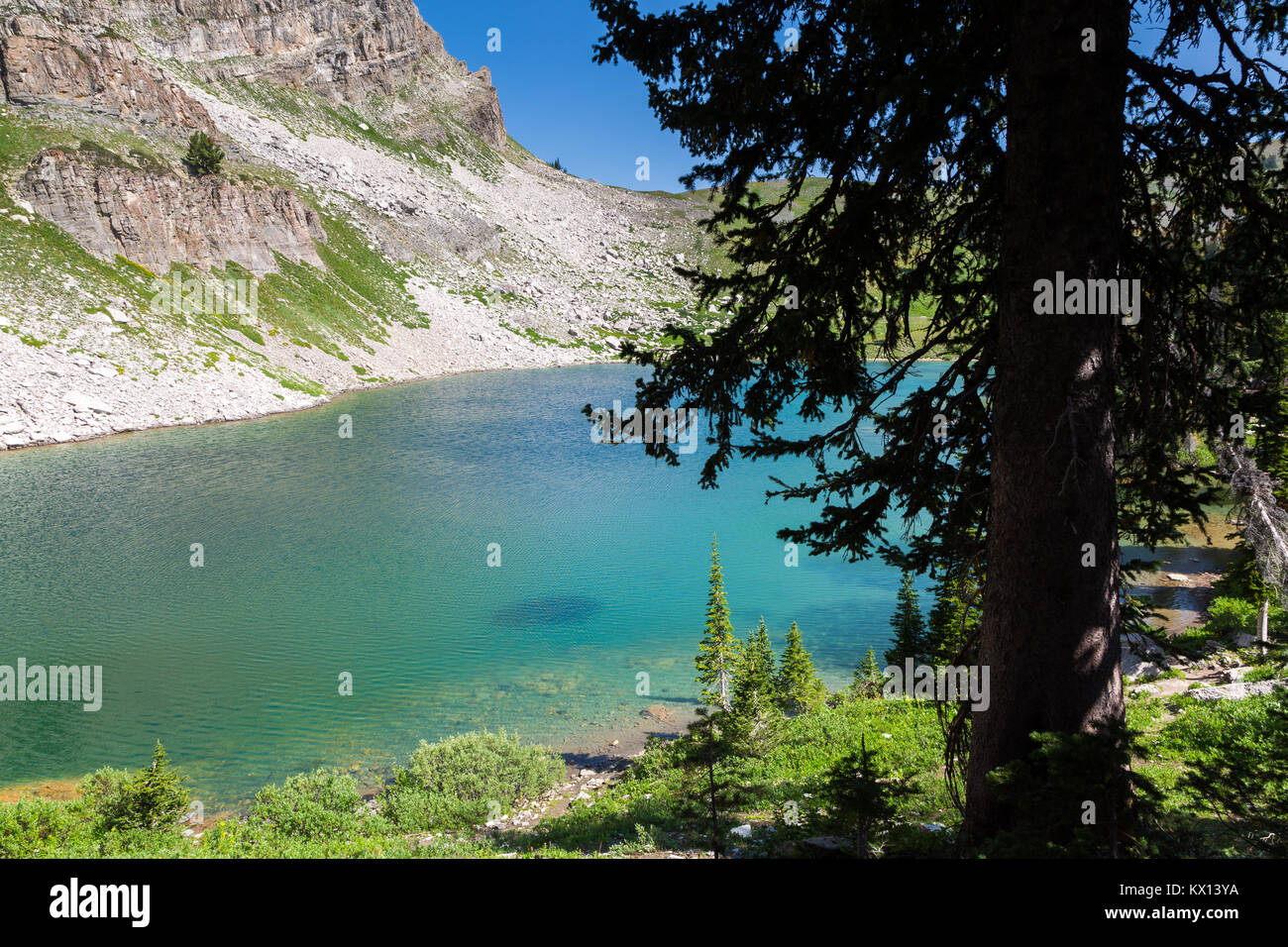 Marion lake grand teton national park hi-res stock photography and ...