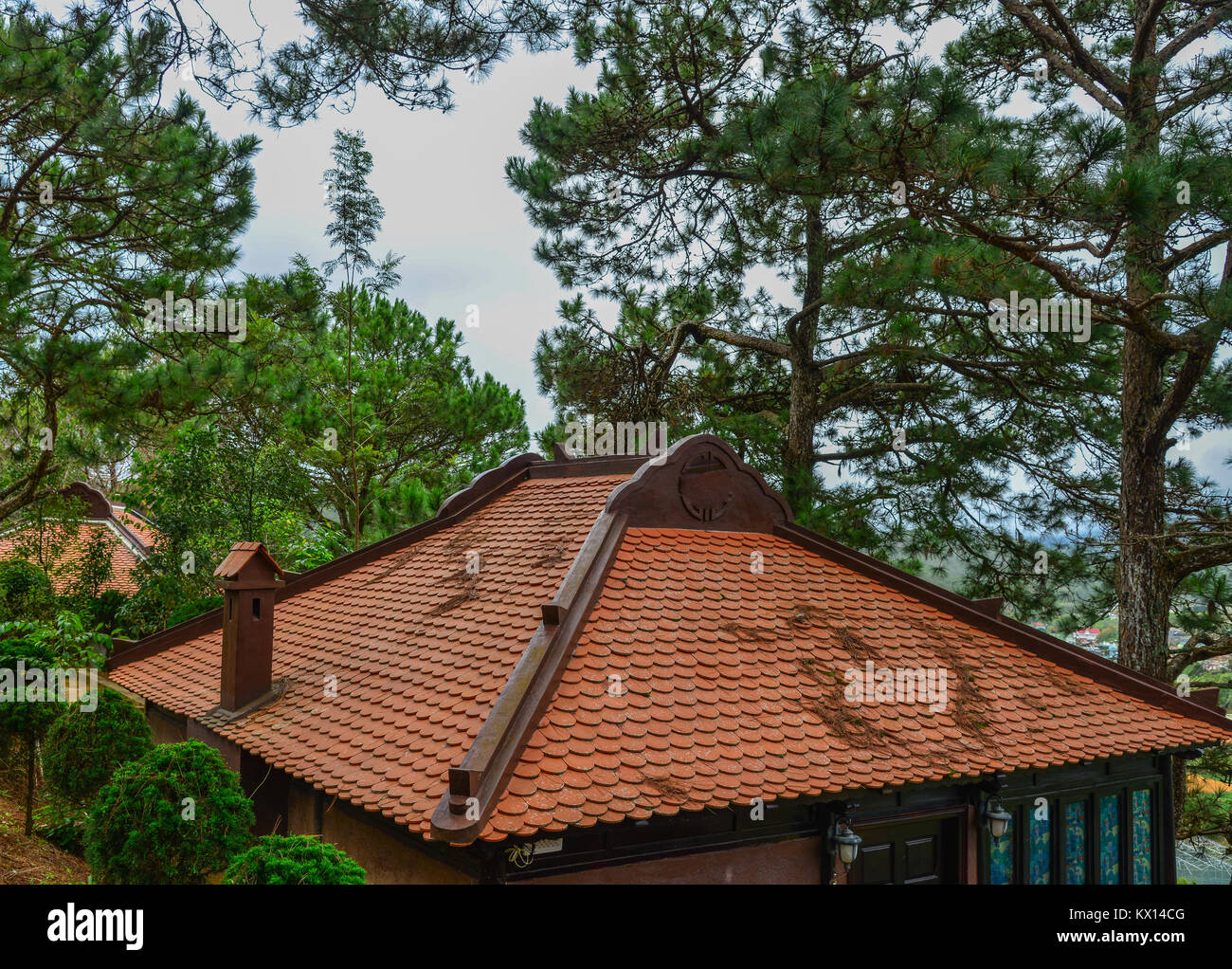 Roof top of an brick house at pine tree forest in Dalat, Vietnam Stock Photo - Alamy