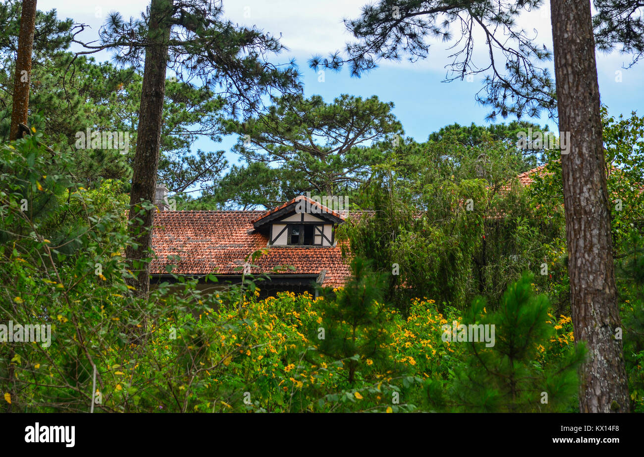 An old building at forest in Dalat, Vietnam. The architecture of Dalat ...