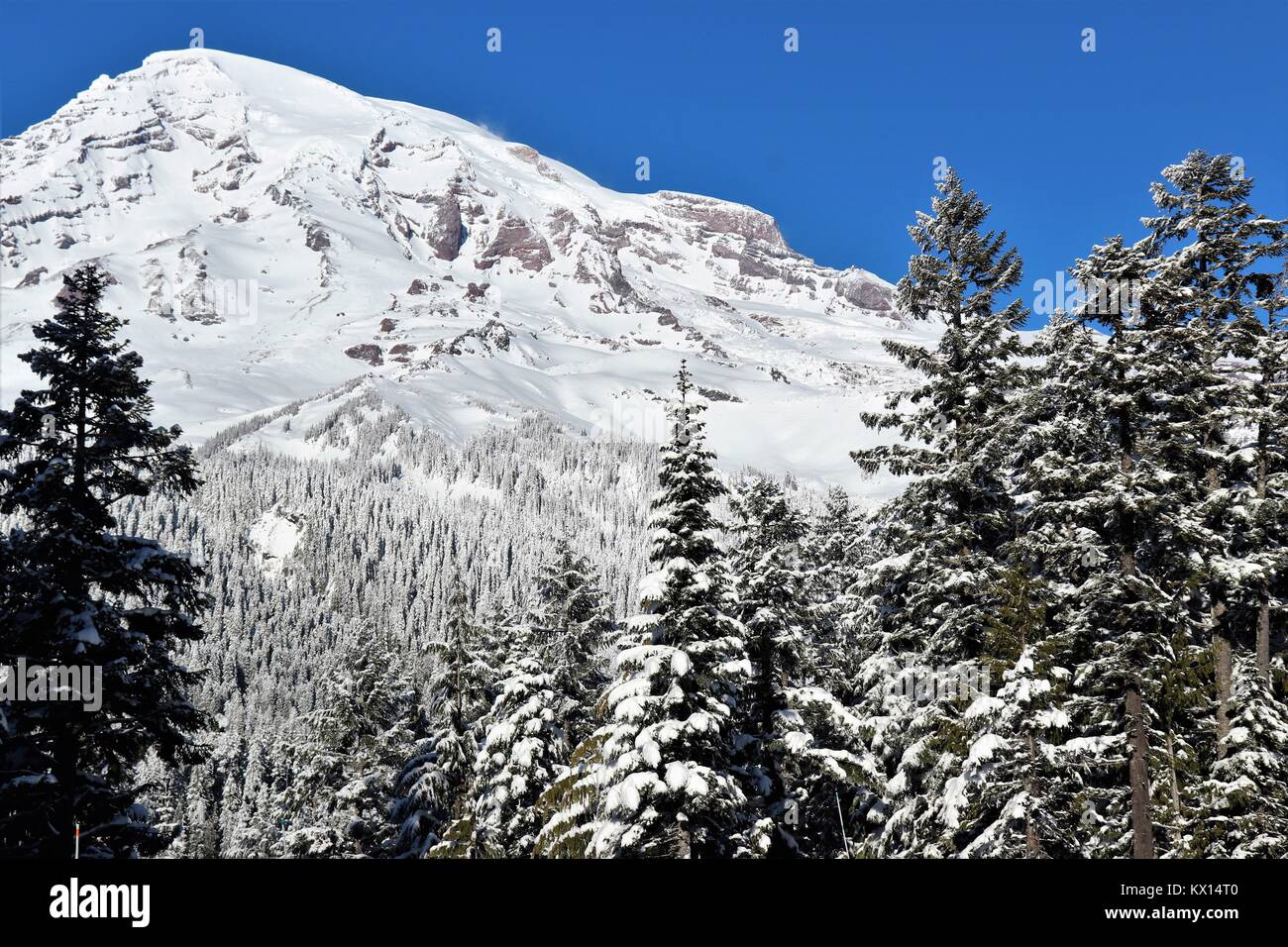Mount Rainier in Winter Stock Photo - Alamy