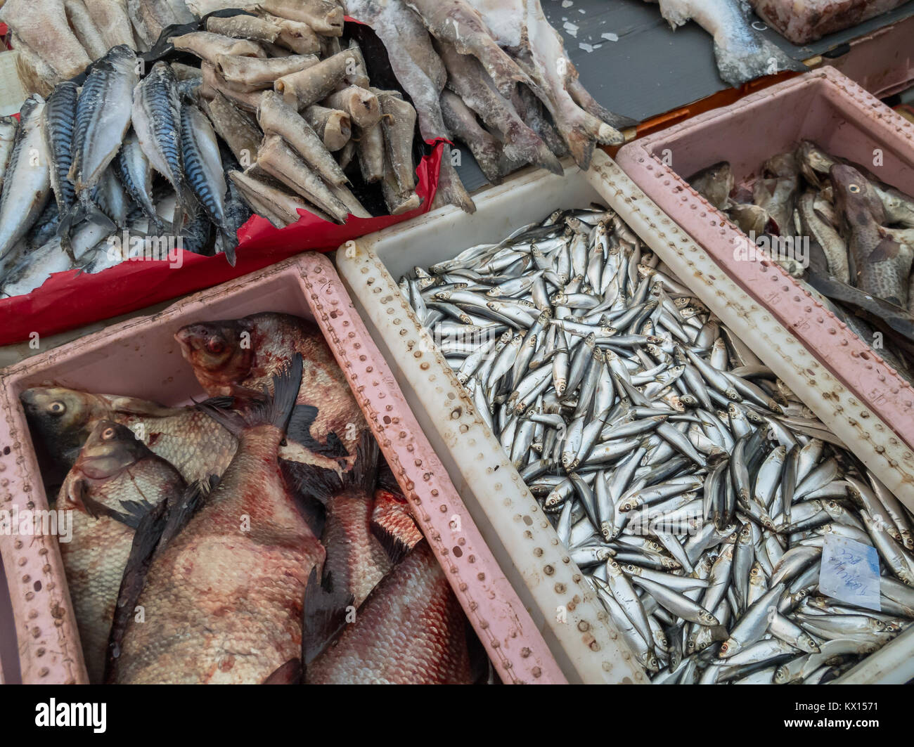 Fish for sale on the market Stock Photo - Alamy