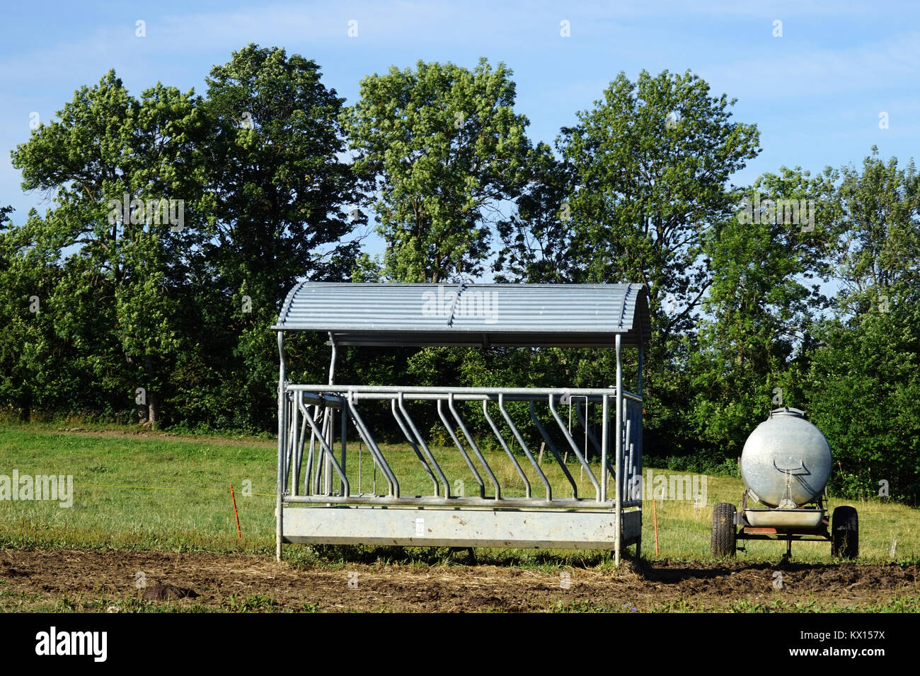 Feeder and tank on the pasture in Switzerland Stock Photo - Alamy