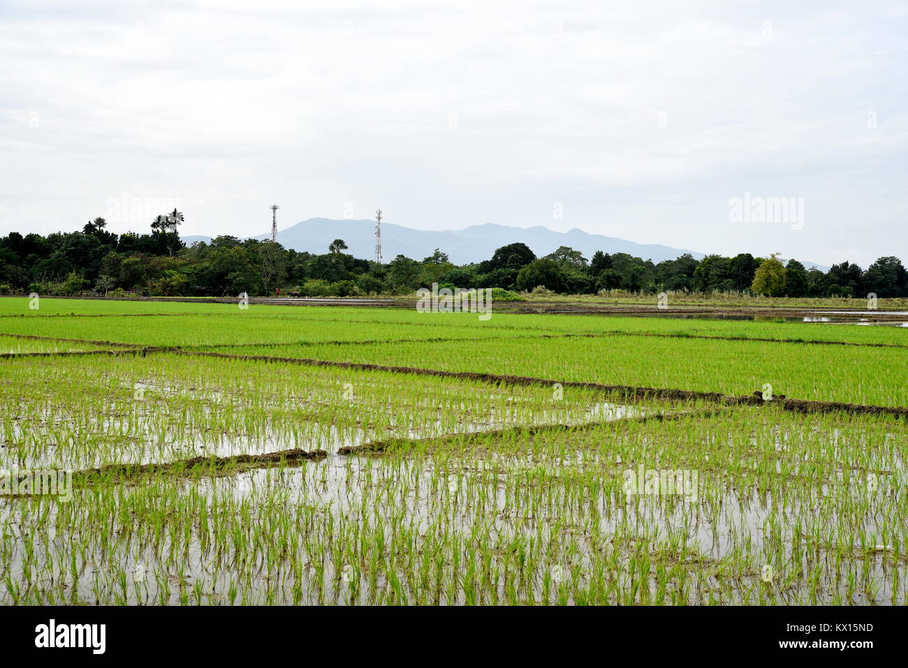 Santiago City, Isabela, Philippines, December 15, 2017, Santiago City ...