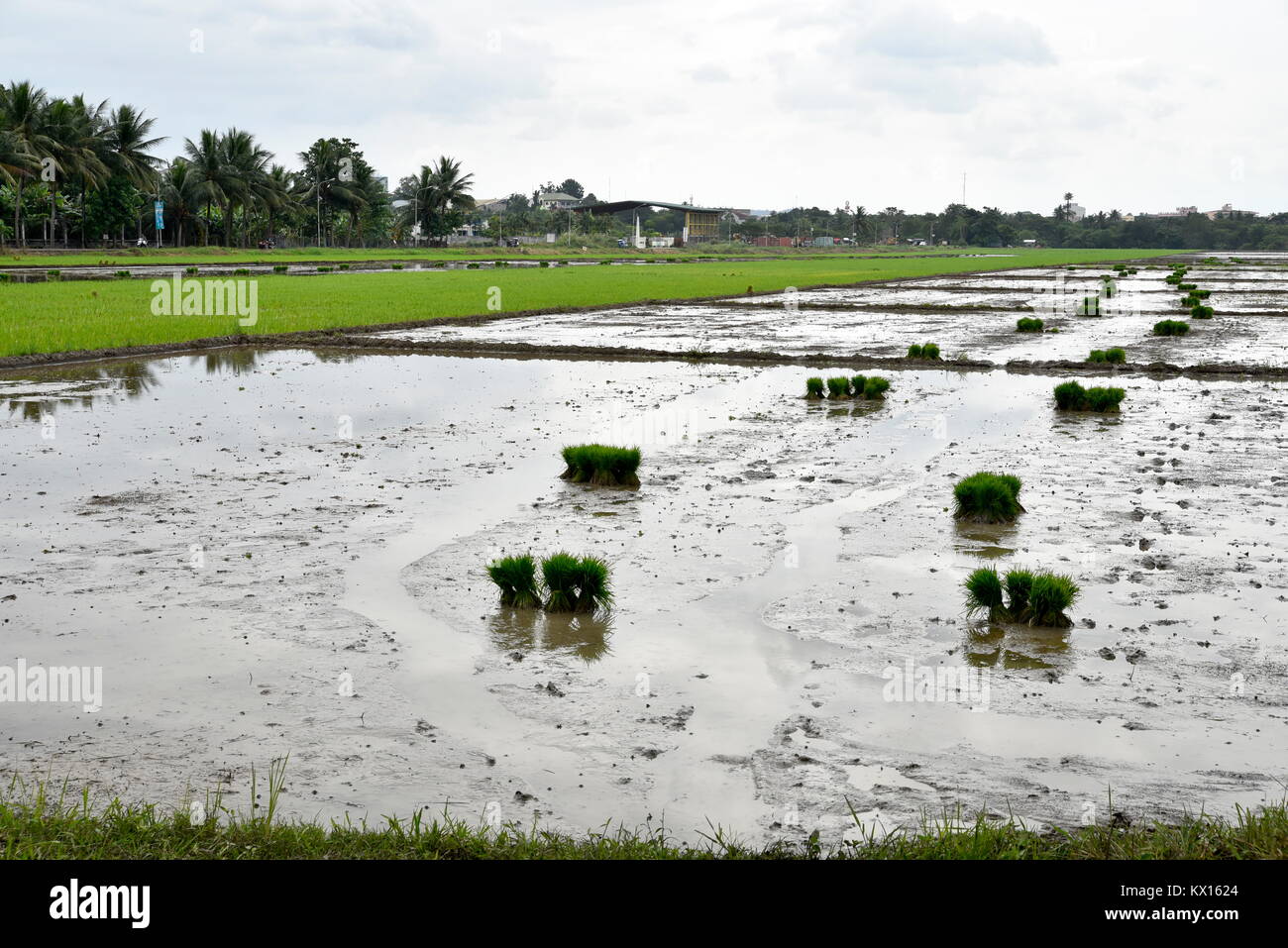 Santiago City, Isabela, Philippines, December 15, 2017, Santiago City ...