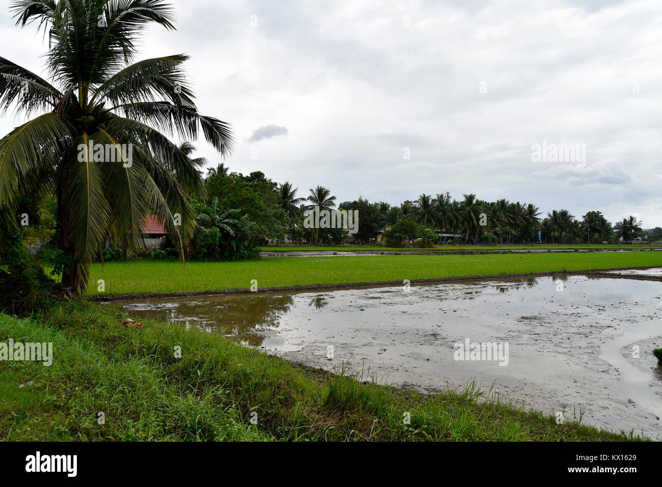 Santiago City, Isabela, Philippines, December 15, 2017, Santiago City ...