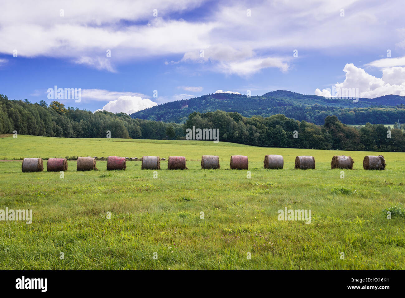 Rural scene czech republic hi-res stock photography and images - Alamy