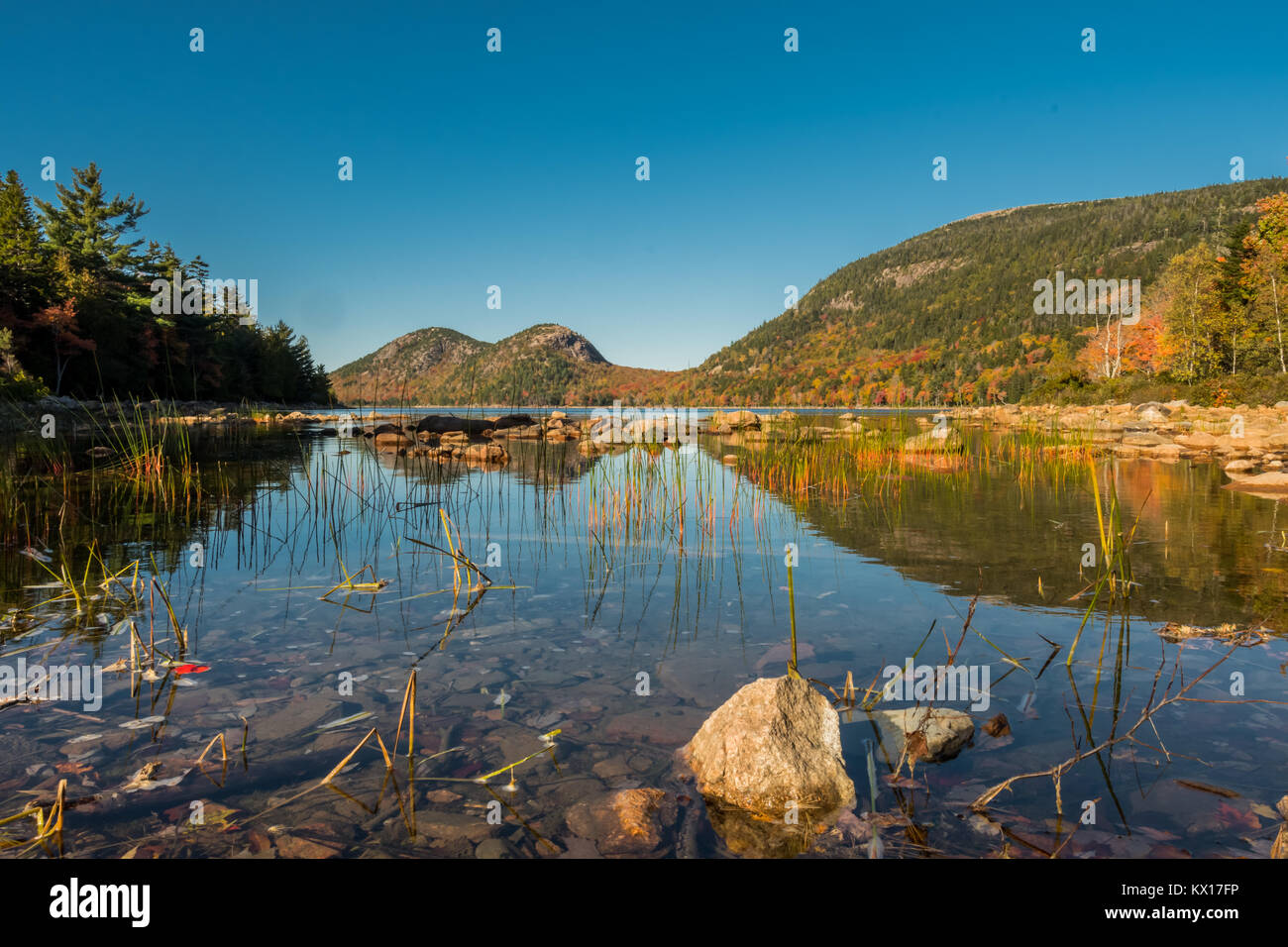 Rocks and Reeds in Jordan Pond in Acadia in Autumn Stock Photo - Alamy