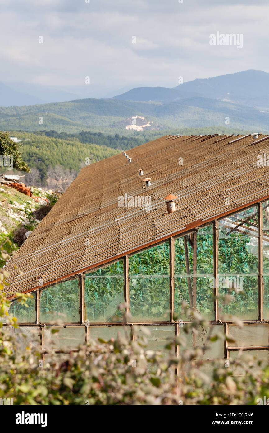 Greenhouse. An industrial greenhouse on a farm in Turkler in the ...