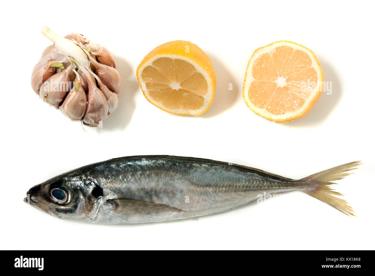 Raw short mackerel fish with lemon and garlic Stock Photo - Alamy