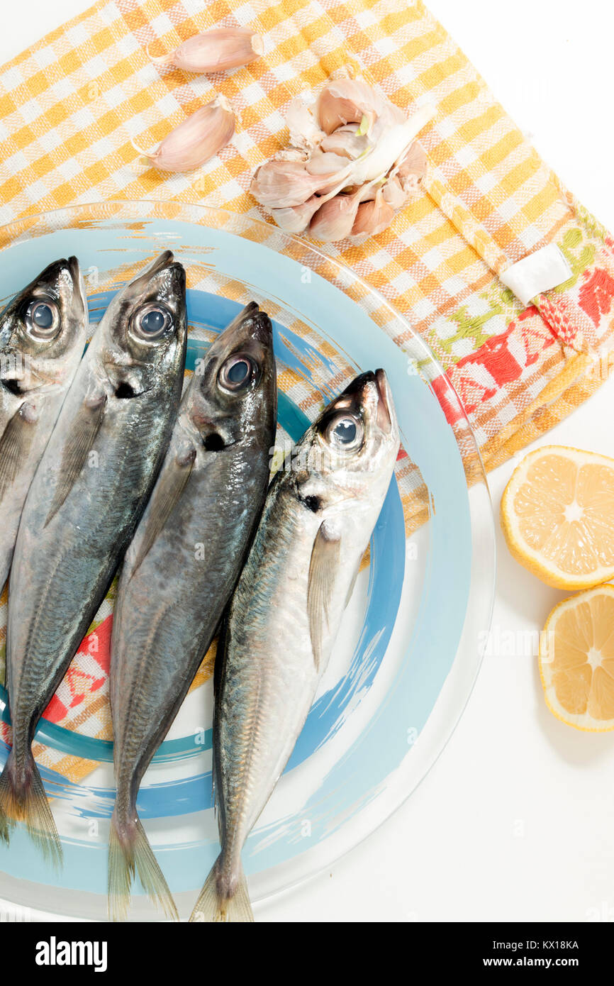 Raw short mackerel fish hi-res stock photography and images - Alamy