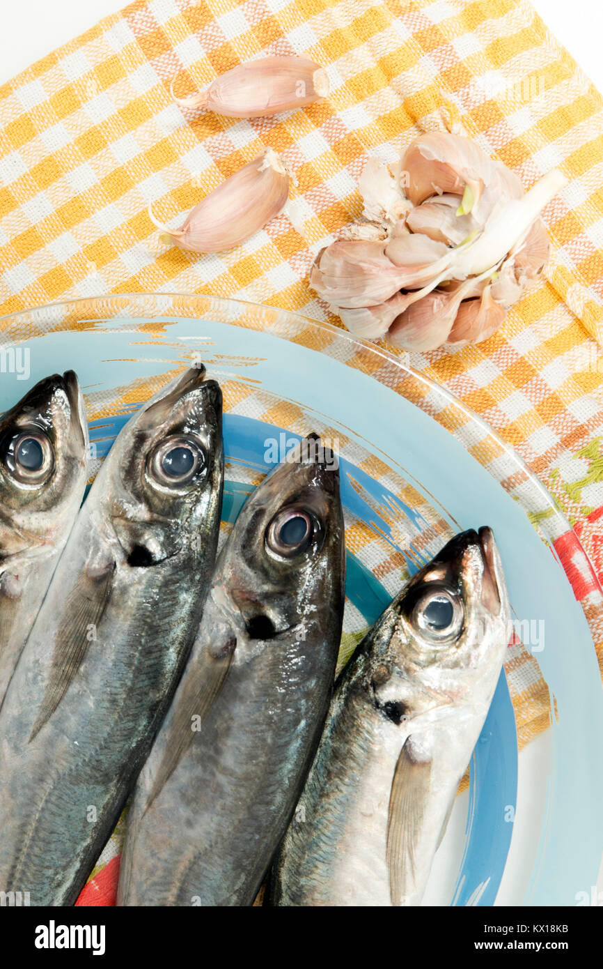 Raw short mackerel fish on a plate Stock Photo - Alamy